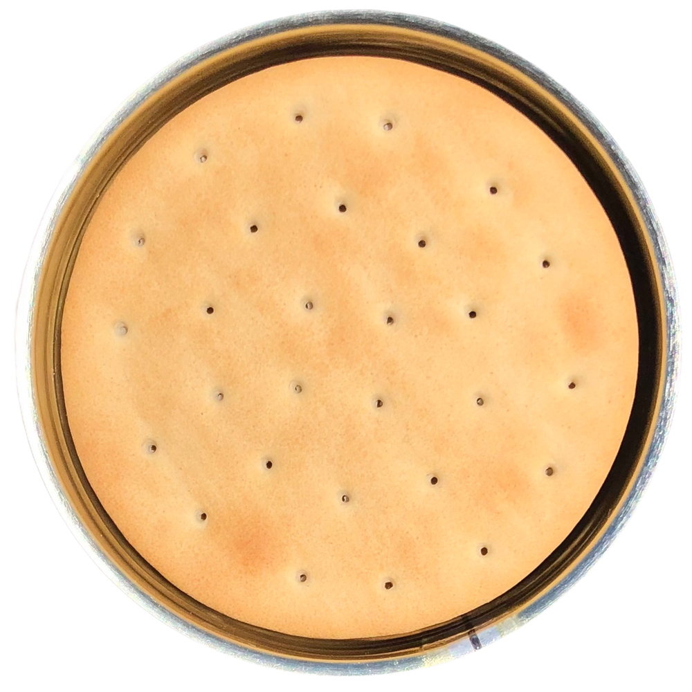 Canned Future Essentials Pilot Bread, Hardtack, Ship's Biscuit
