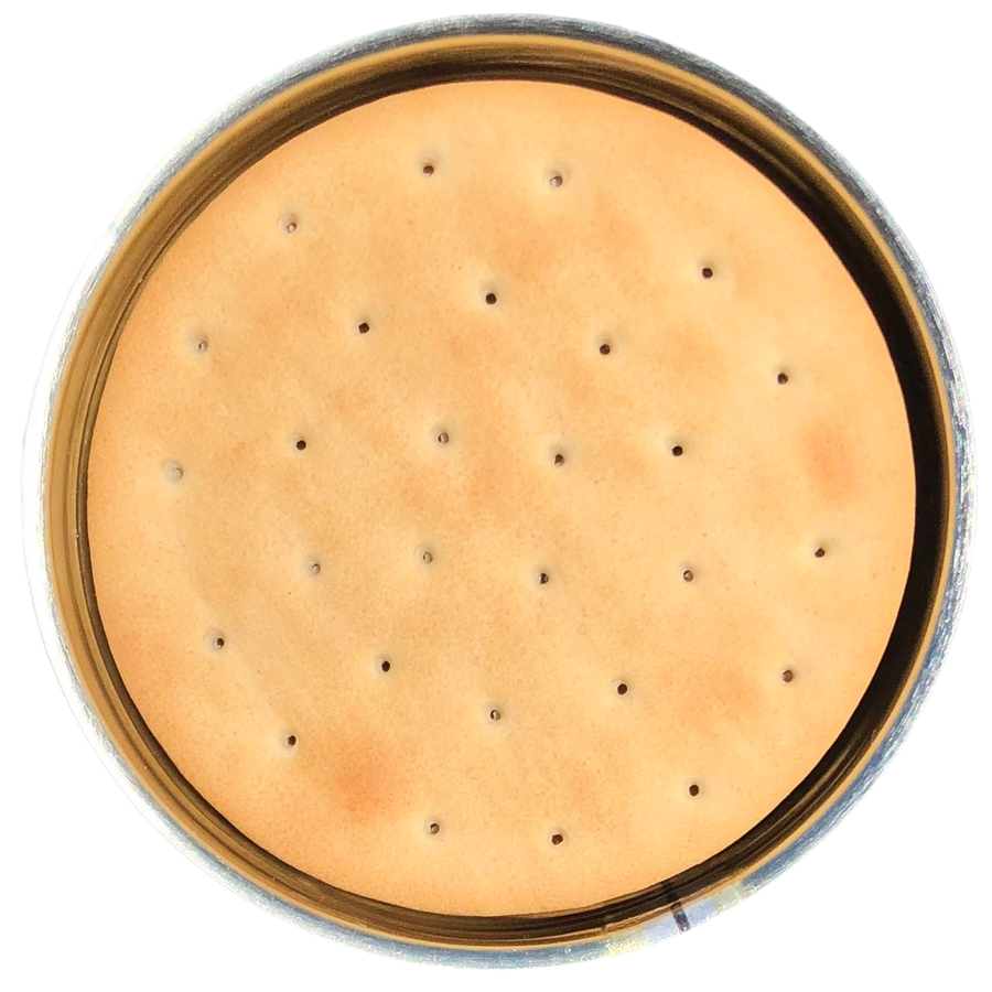Canned Future Essentials Pilot Bread, Hardtack, Ship's Biscuit